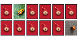 Memory Games for Kids